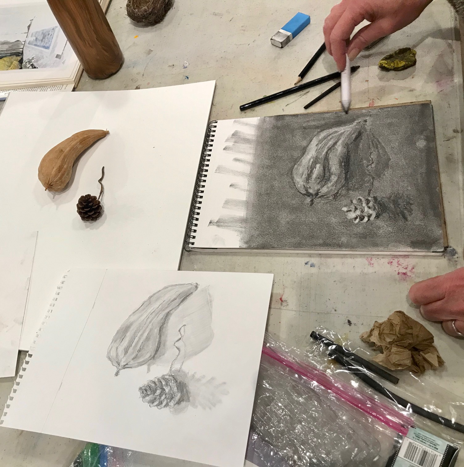 Drawing Techniques Line Gesture And Contour The Kreeger Museum 